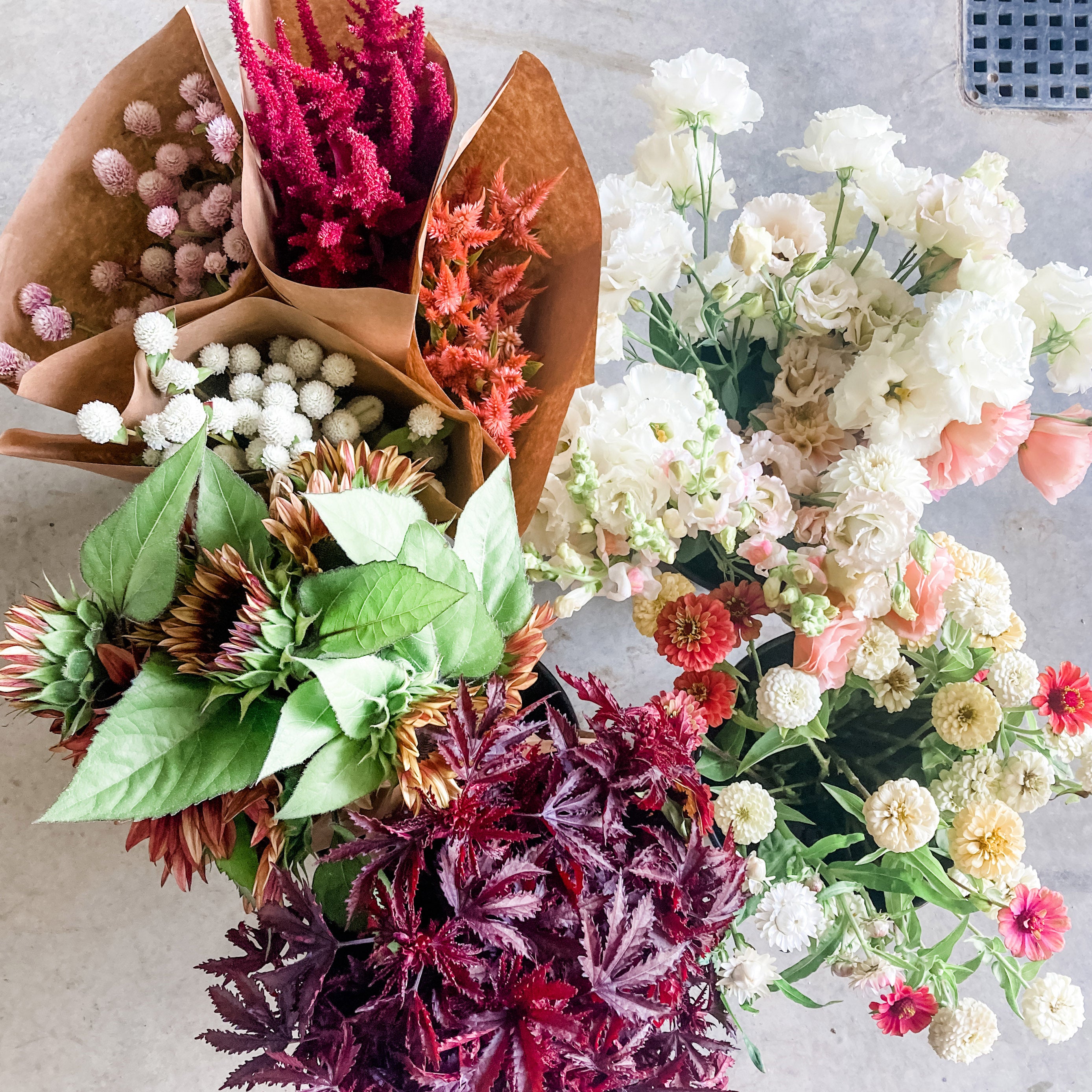 Bulk Flowers for Events – Clayfield Farms