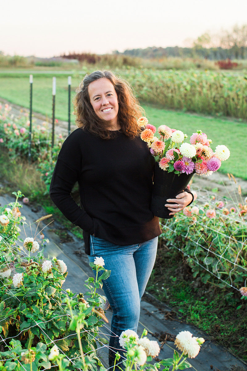 About Clayfield Farms